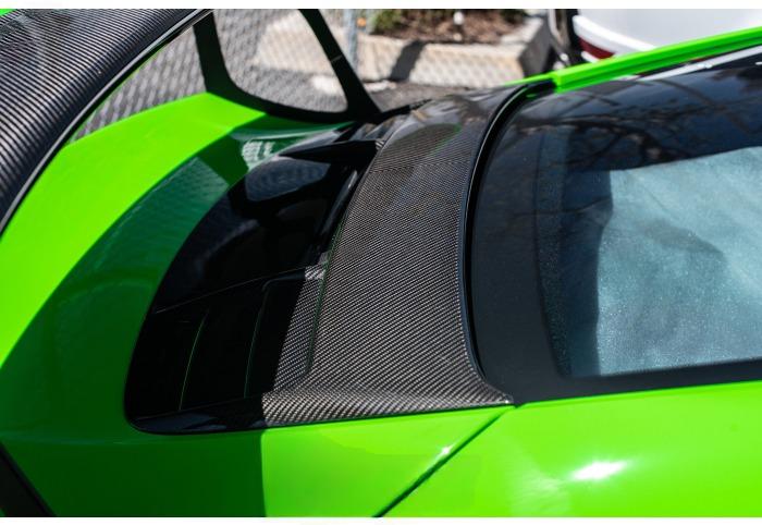 TechArt Carbon Rear Engine Panel for 991.2 GT3RS